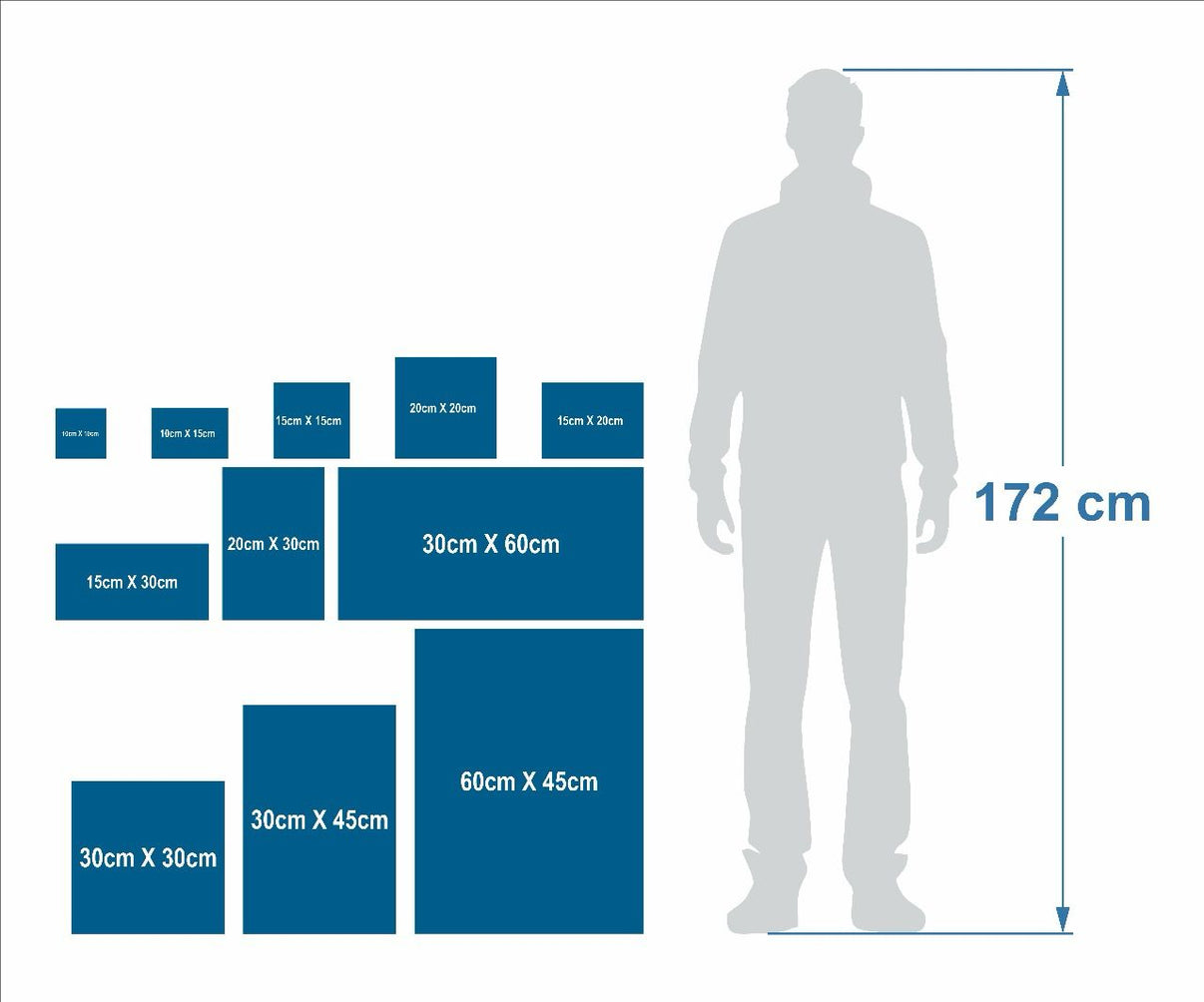 Safe Assembly Point – Easy Signs